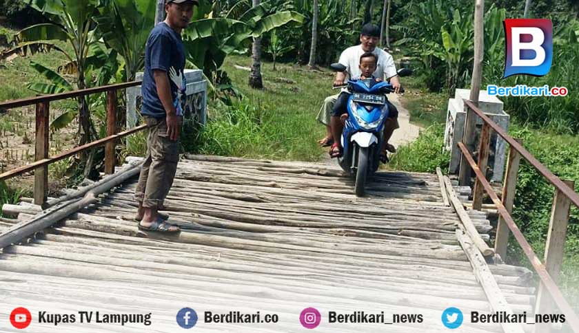 Berdikari - Jembatan Penghubung 2 Desa Memprihatinkan, Dinas PUPR Lamsel: Tidak Dianggarkan ...