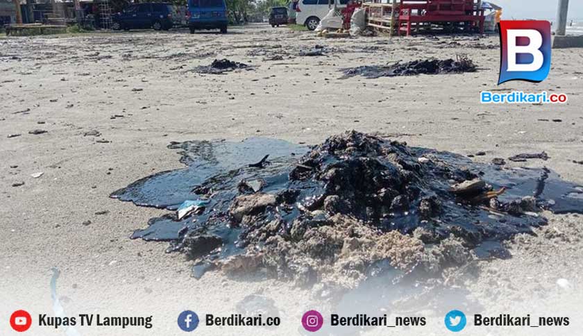 Berdikari - Kasus Pencemaran Limbah Hitam di Perairan Lampung, KLHK Periksa Beberapa Pihak ...