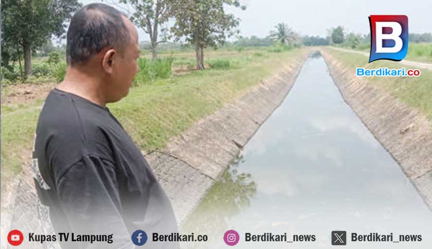 Berdikari - Debit Air Danau Way Jepara Lamtim Menyusut, Ribuan Hektar ...