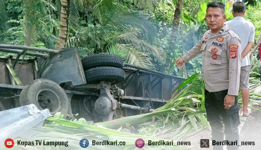 Berdikari - Hindari Tabrakan, Truk Fuso Terjun ke Jurang di Desa Kota Karang Pesisir Barat
