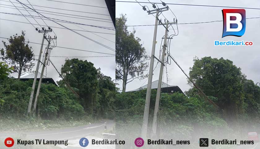Berdikari - Tiang Listrik Nyaris Roboh di Kota Besi Lampung Barat, PLN Jadwalkan Perbaikan ...