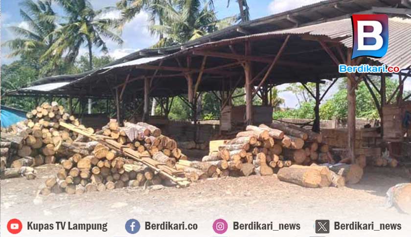 Berdikari - Warga Bumiraya Lampura Keluhkan Kebisingan dan Pencemaran ...